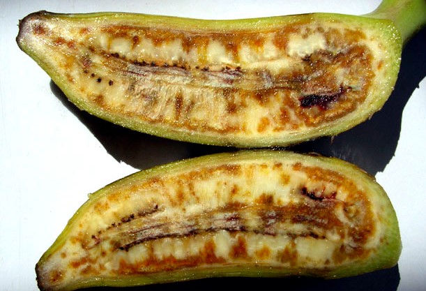 Banana Information
